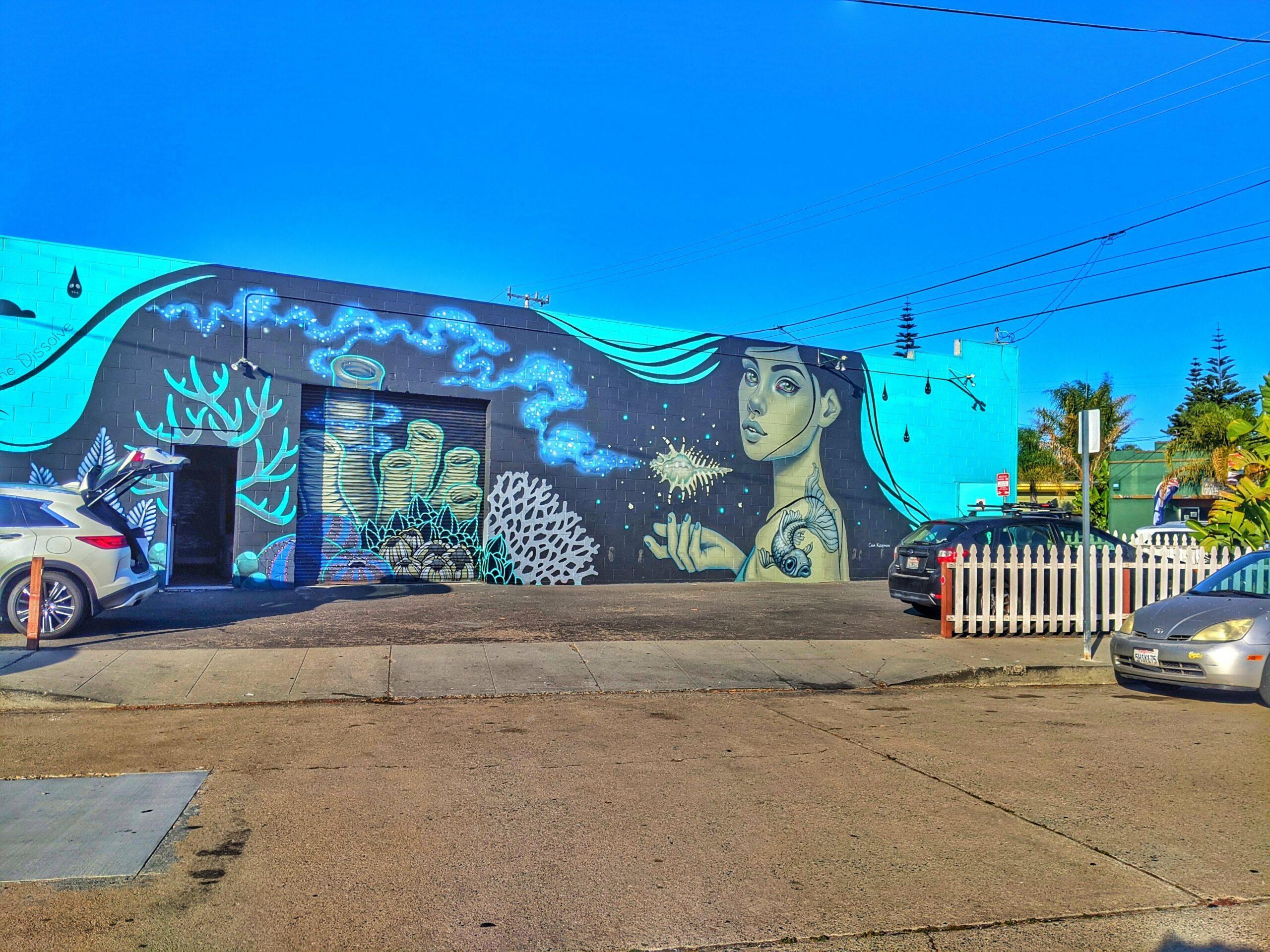Let’s Solve the Dissolve - Santa Cruz Murals