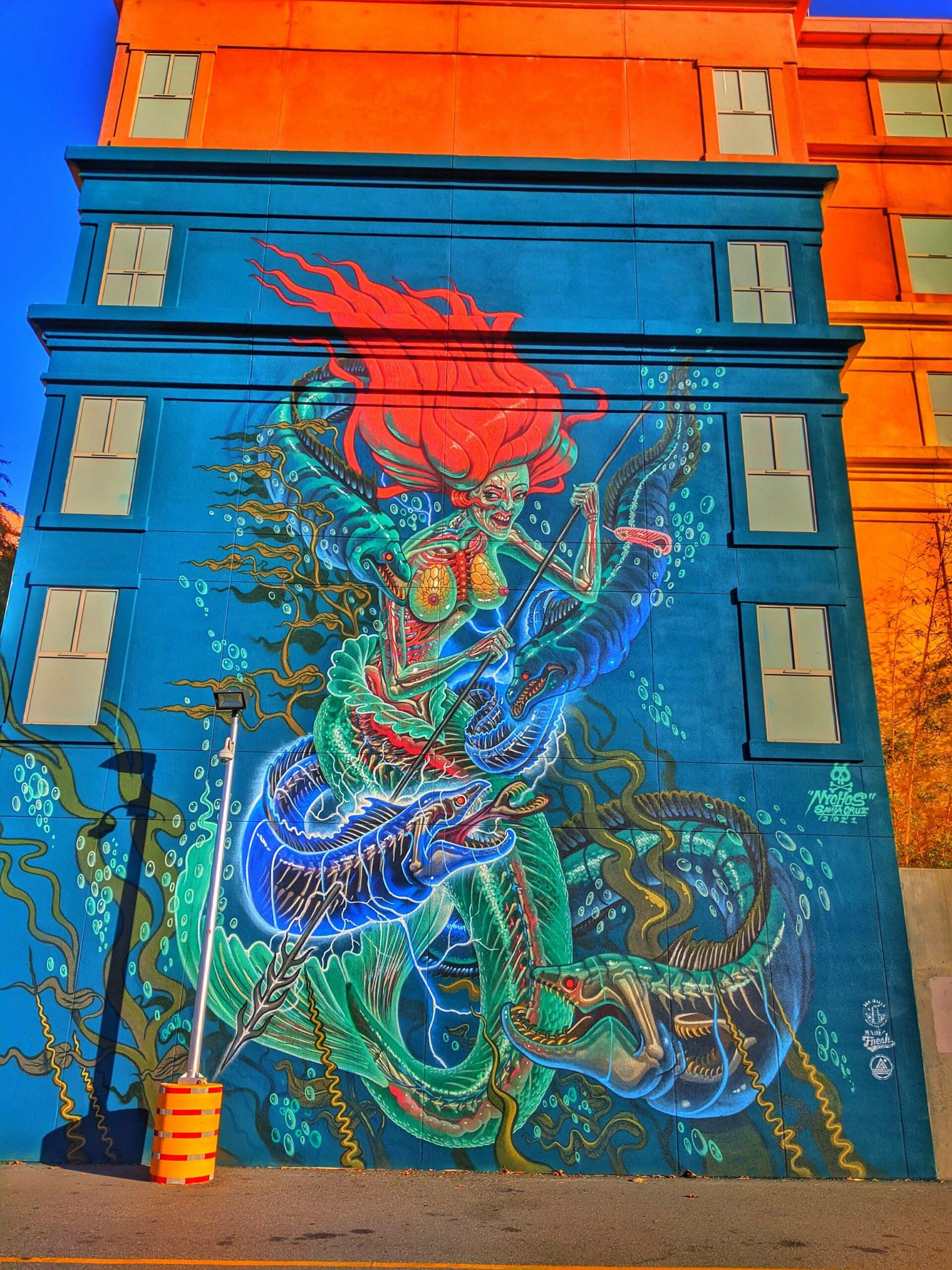 Ocean Stewardship - Santa Cruz Murals