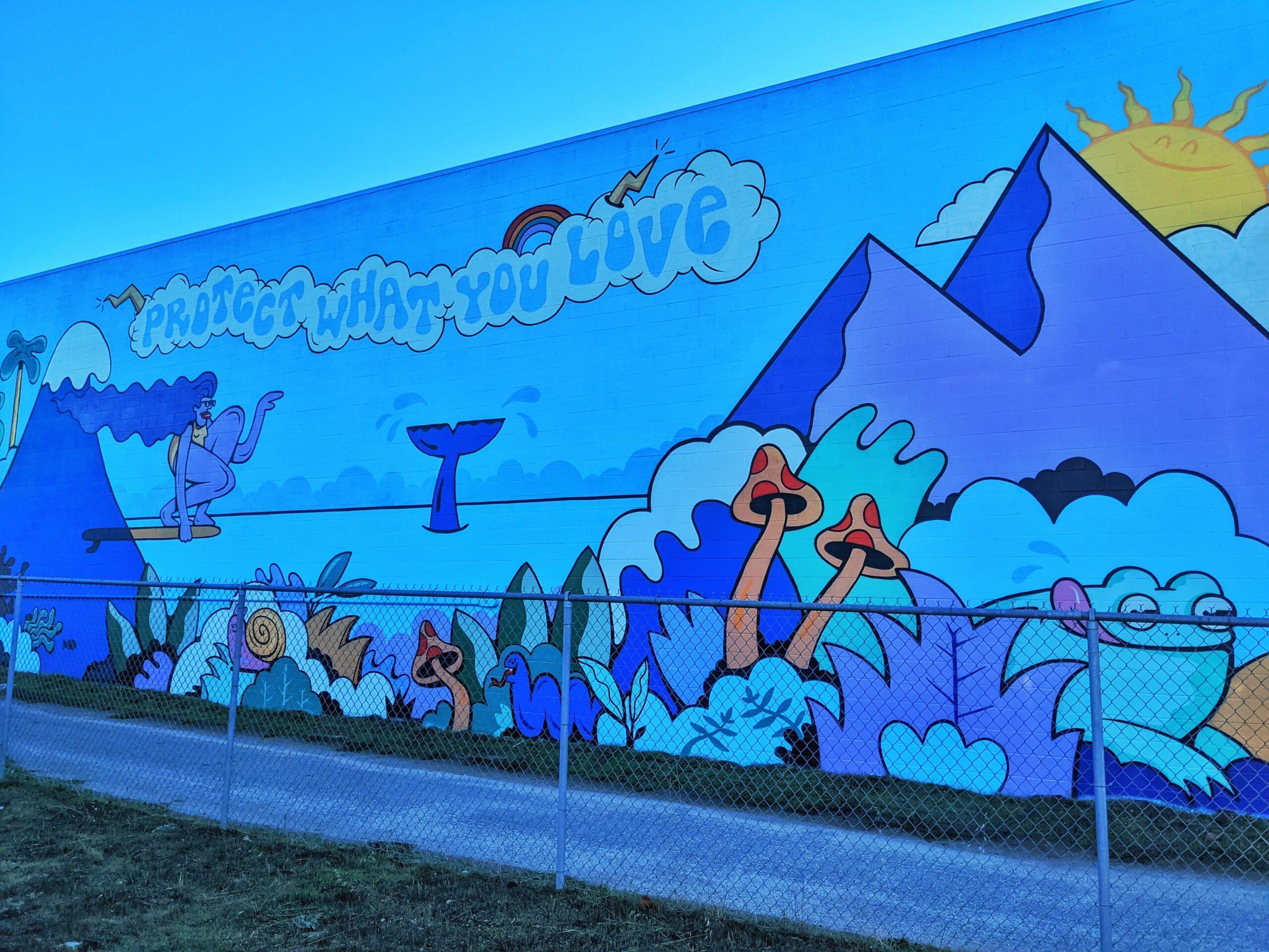 Ocean Stewardship Protect What You Love - Santa Cruz Murals