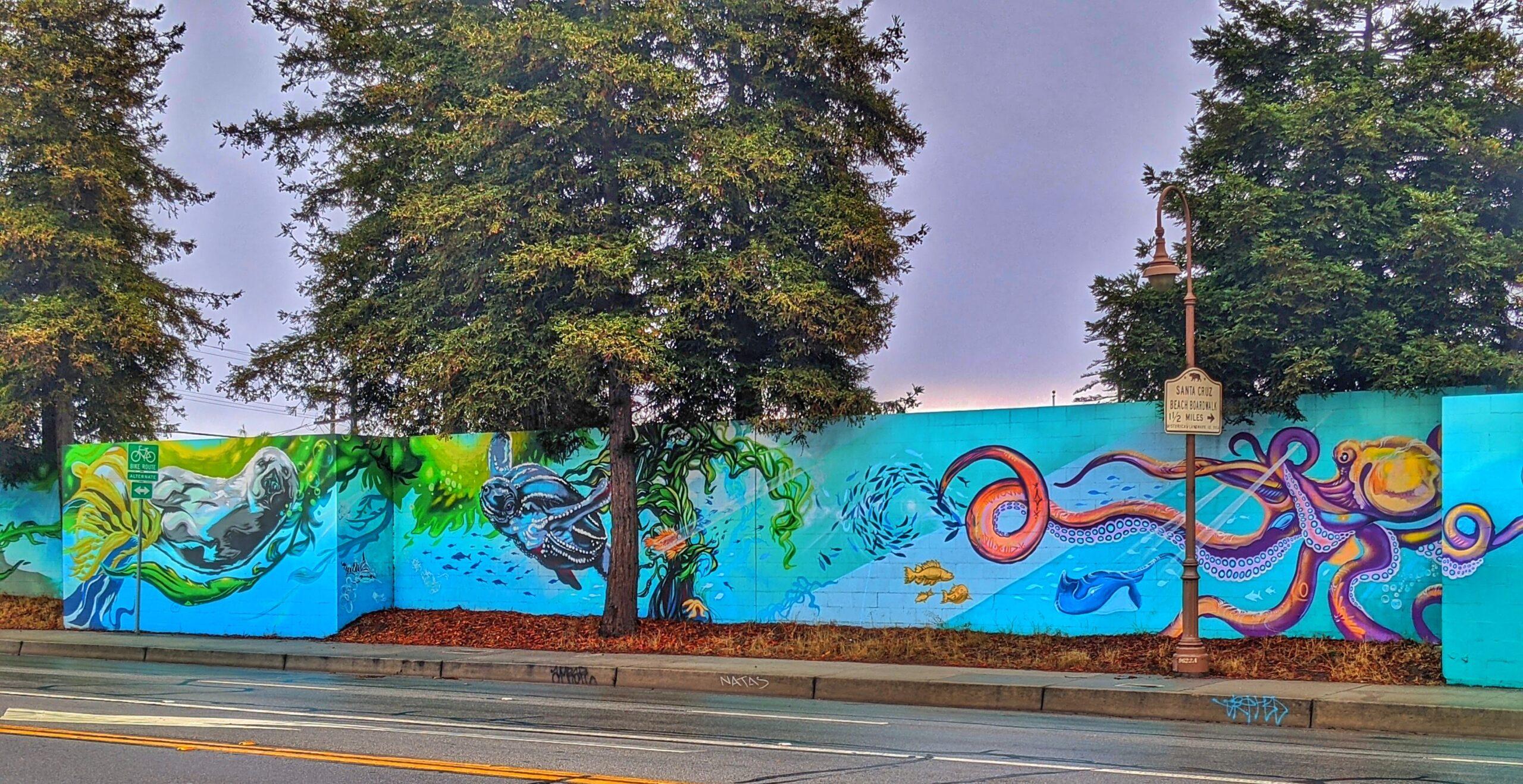 Photos of over 80 Jaw-Dropping Murals in Santa Cruz California - Santa ...