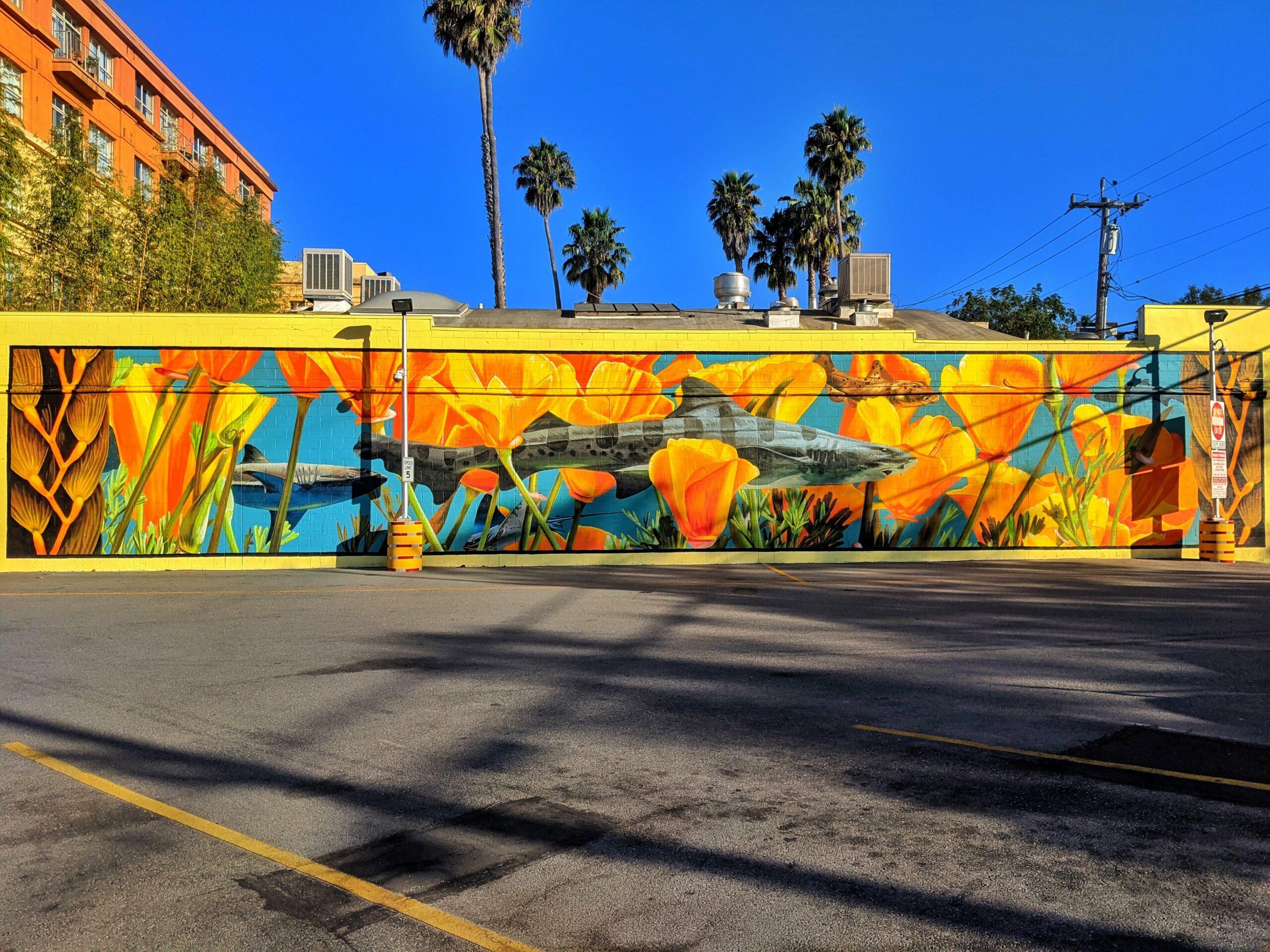 Shark Conservation - Santa Cruz Murals