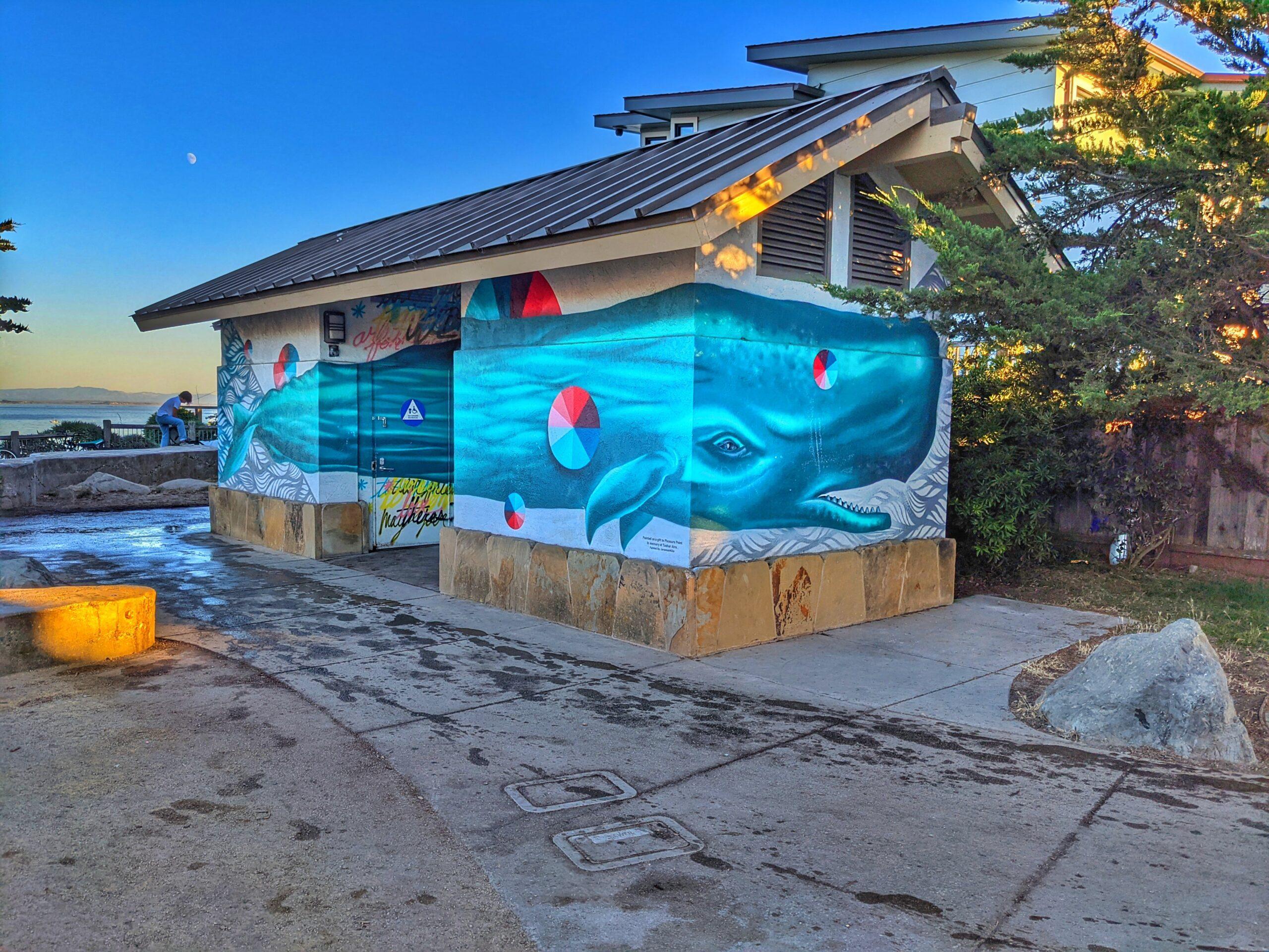Sperm Whale - Santa Cruz Murals