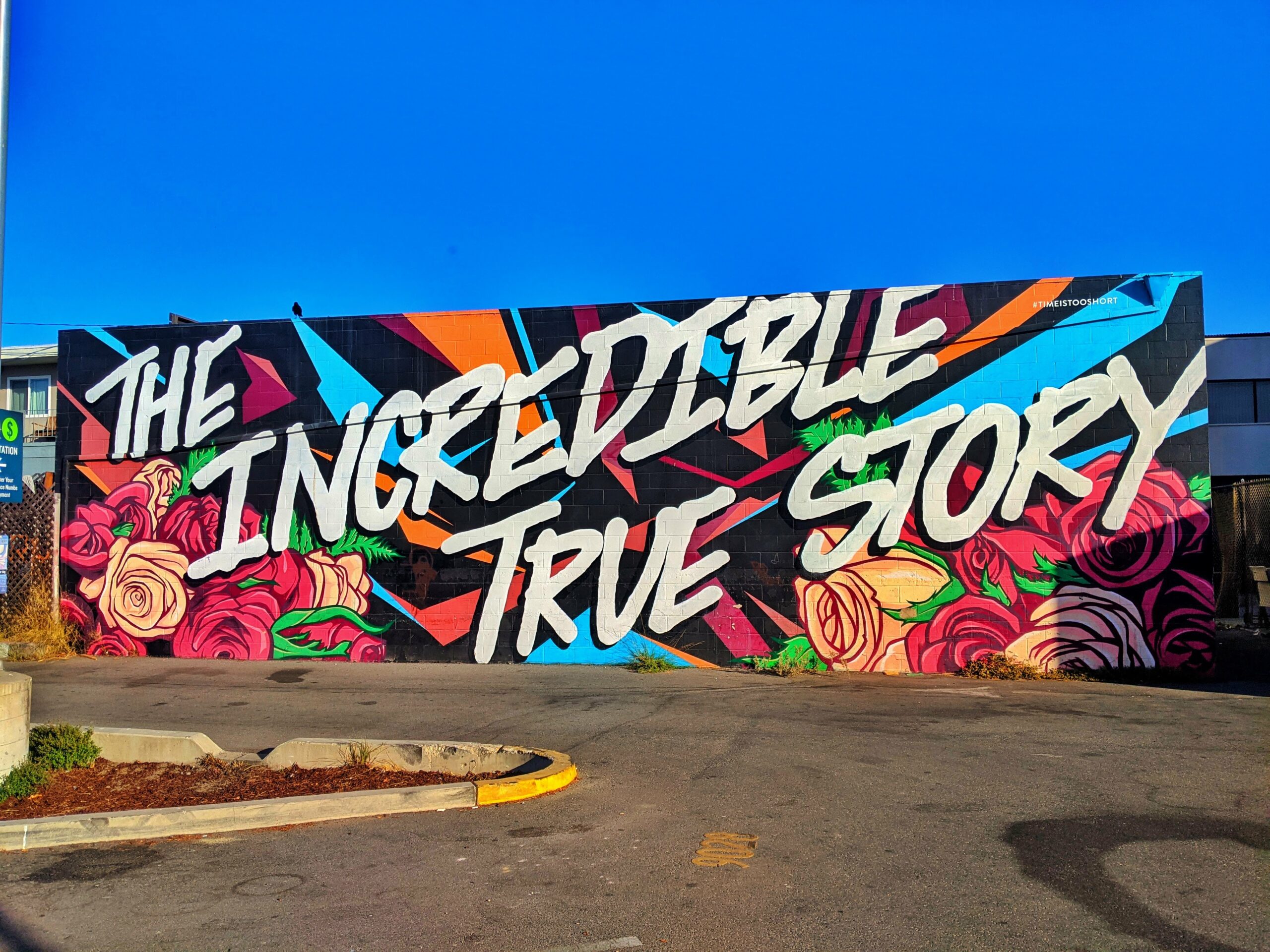 The Incredible True Story - Santa Cruz Murals