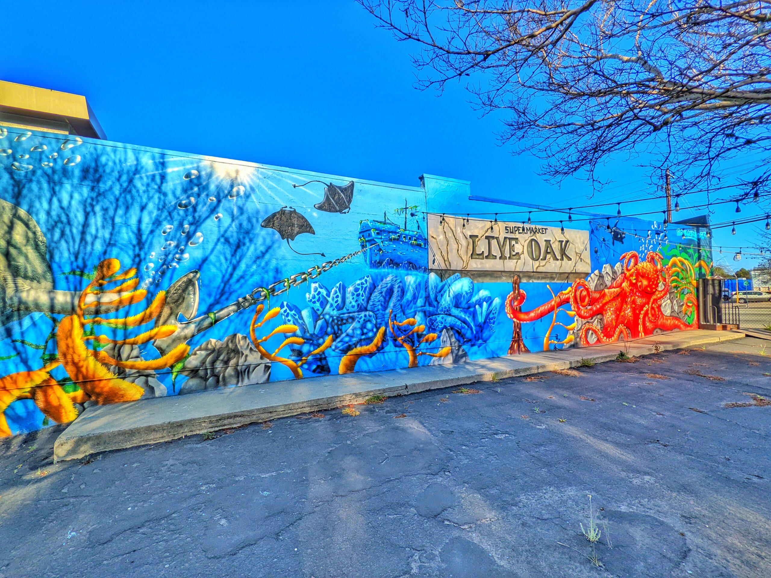 Live Oak Supermarket - Santa Cruz Murals