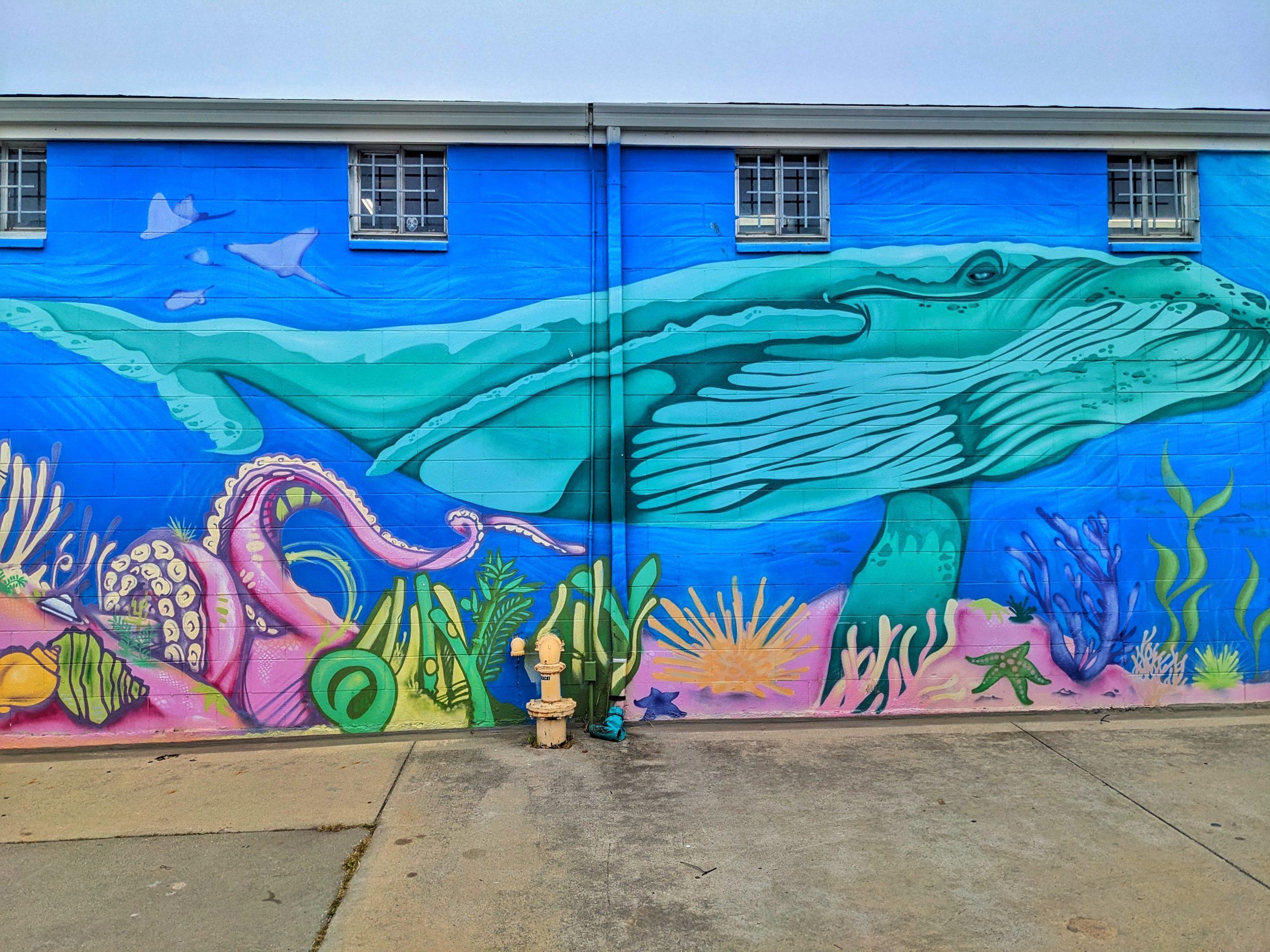 Natural Motions - Santa Cruz Murals